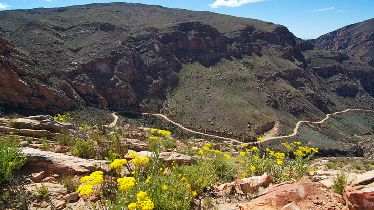 Informationen über den Swartberg Pass, Südafrika - Garden Route Touren